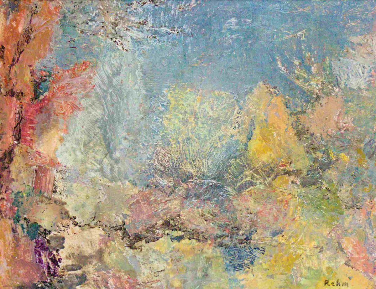 Korallenriff - Helmut Rehm